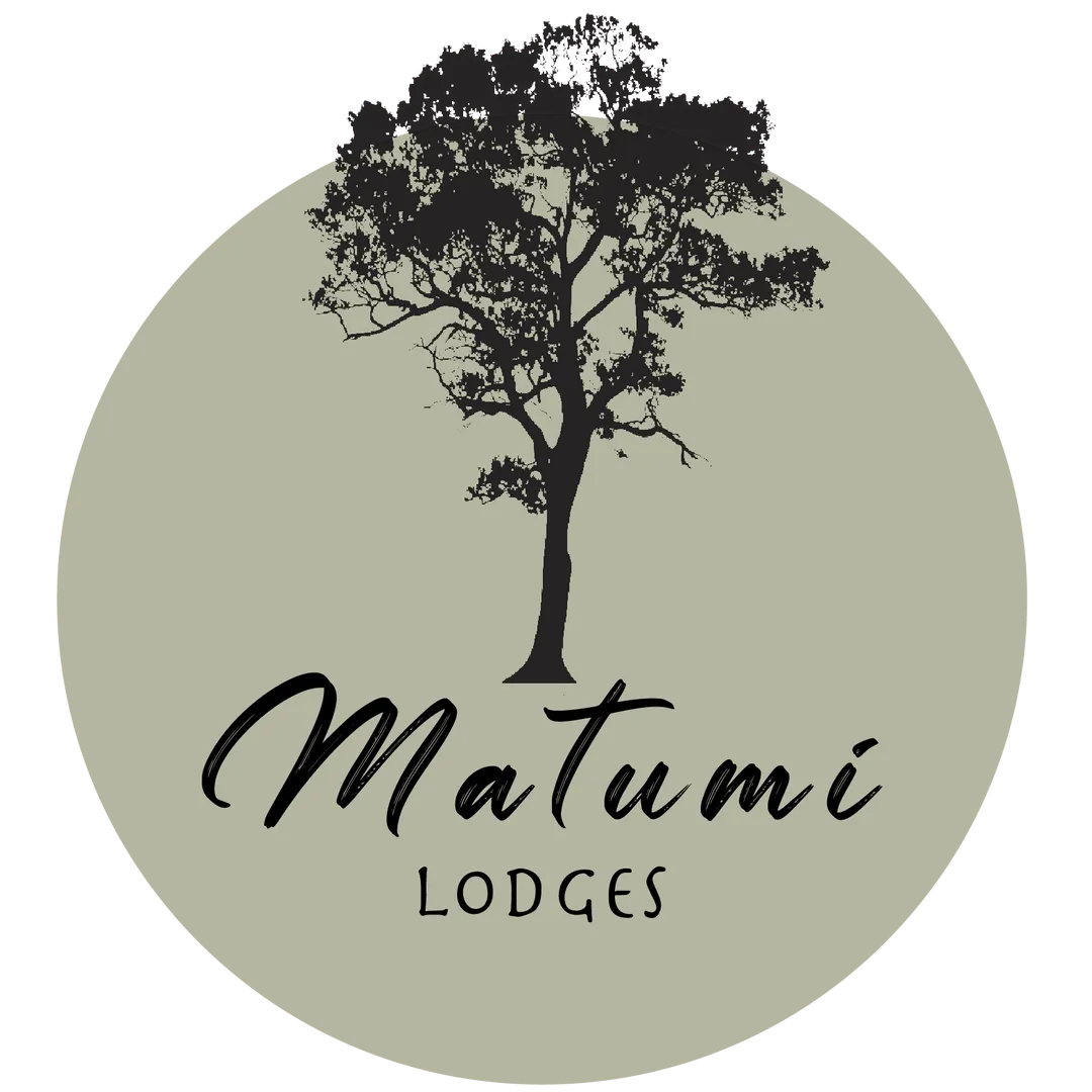 Kruger National Park Luxury Accommodation | Matumi Lodges